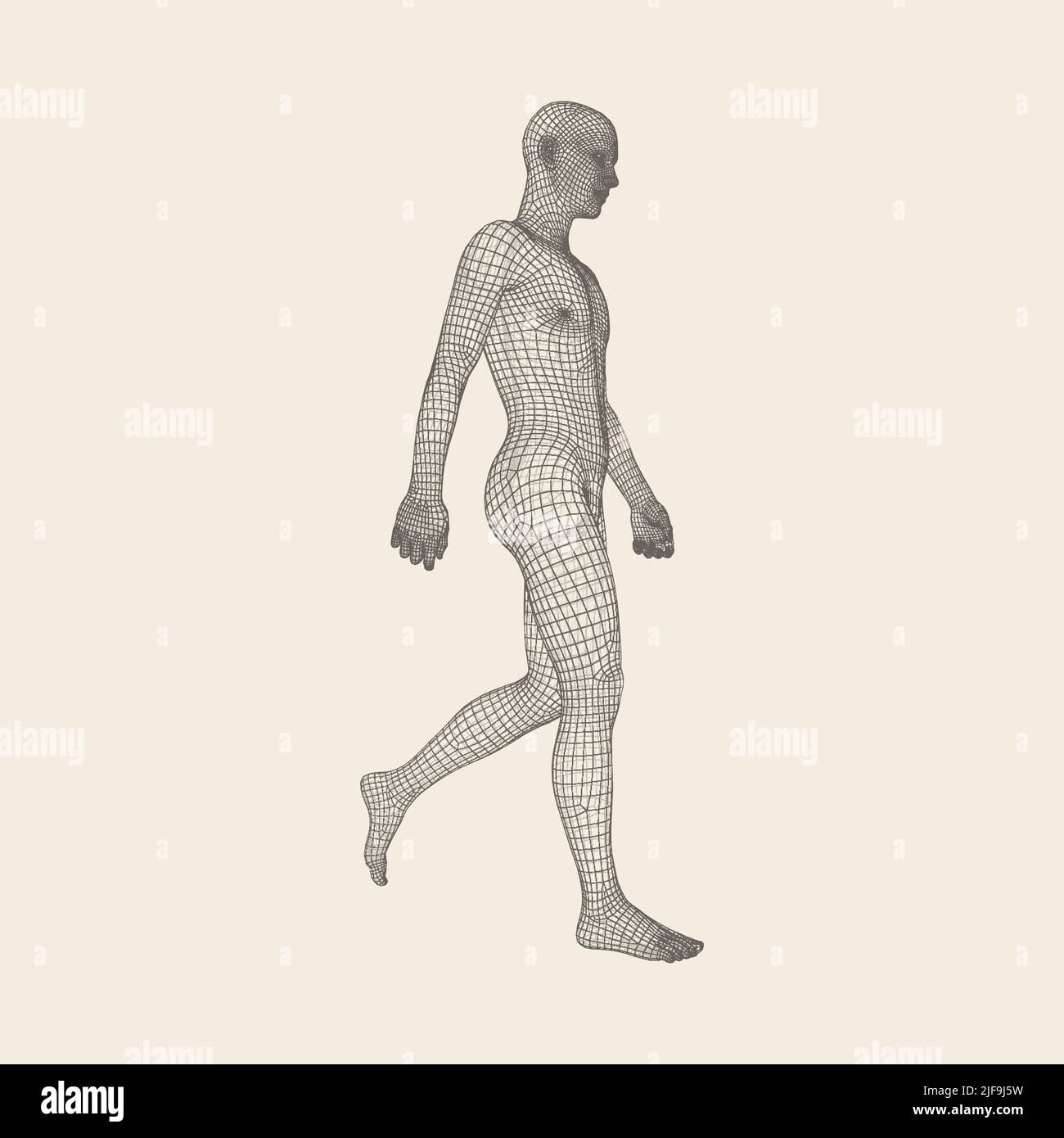 Walking Man. Corps humain 3D Modèle. Conception géométrique. Fil de ...