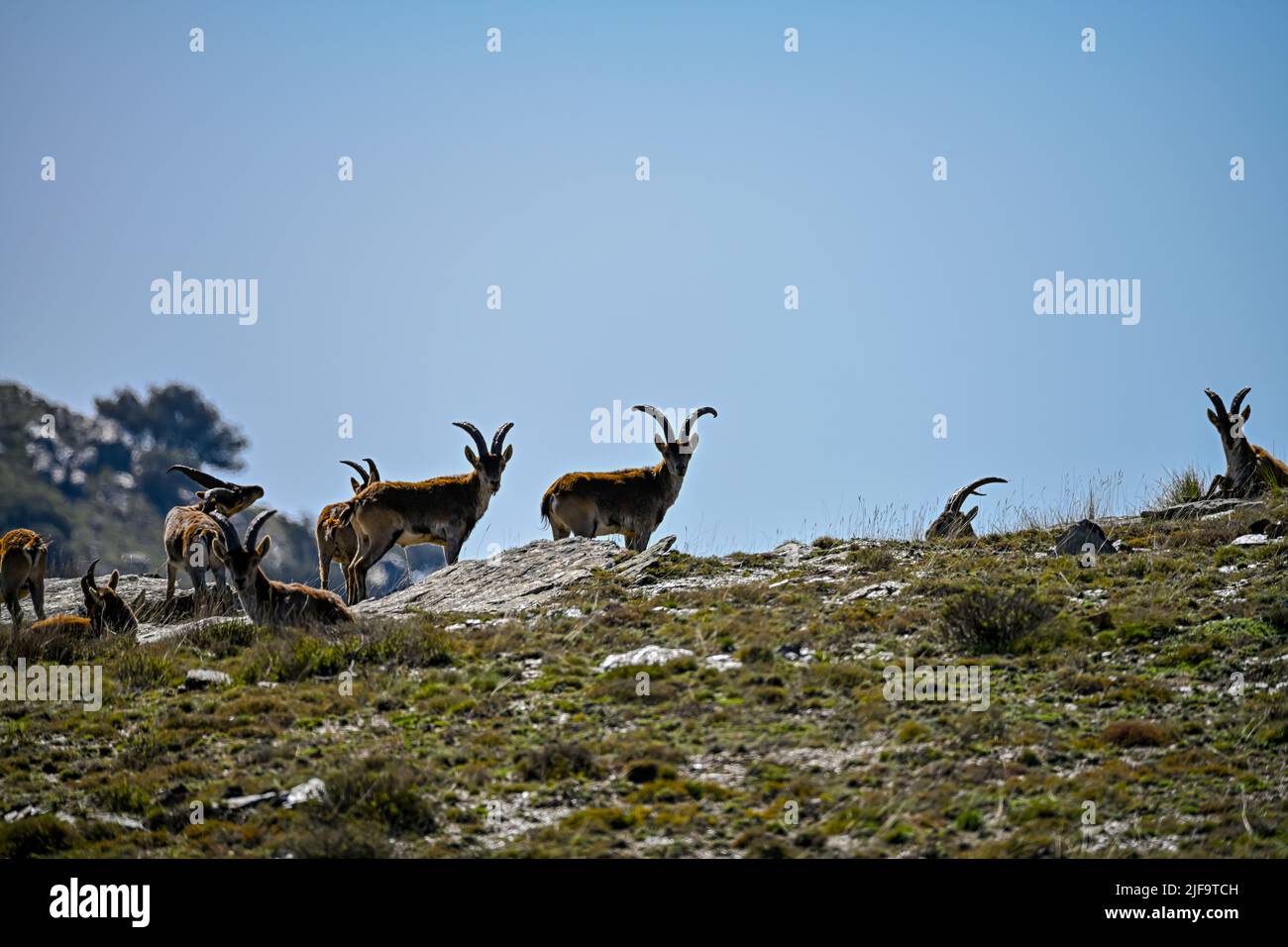 Ecosistemas ambientales Banque de photographies et d’images à haute résolution - Alamy