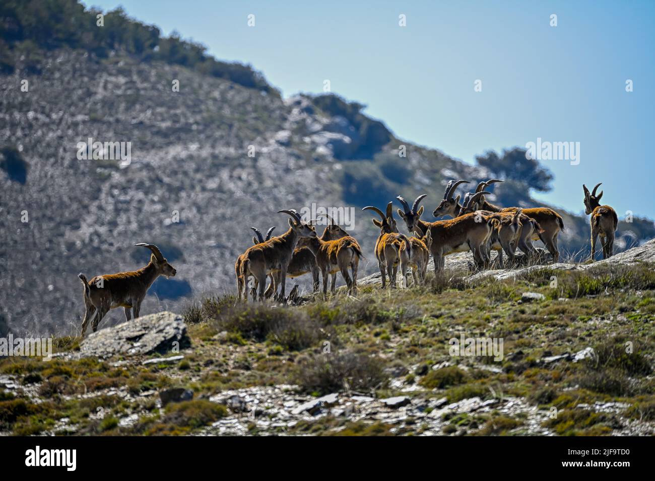 Ecosistemas ambientales Banque de photographies et d’images à haute résolution - Alamy
