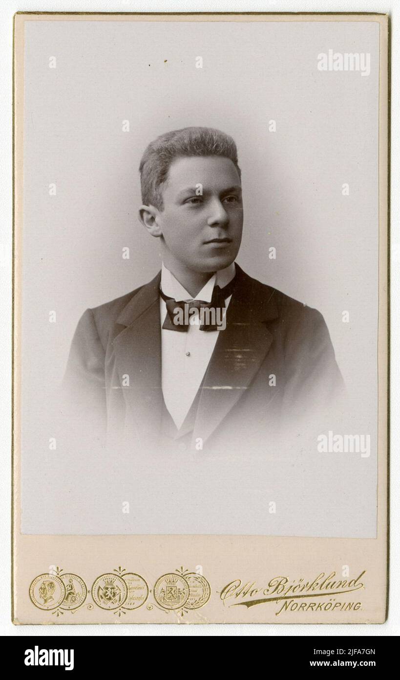 Portrait de l'homme inconnu. Portrait de l'homme inconnu. La ...