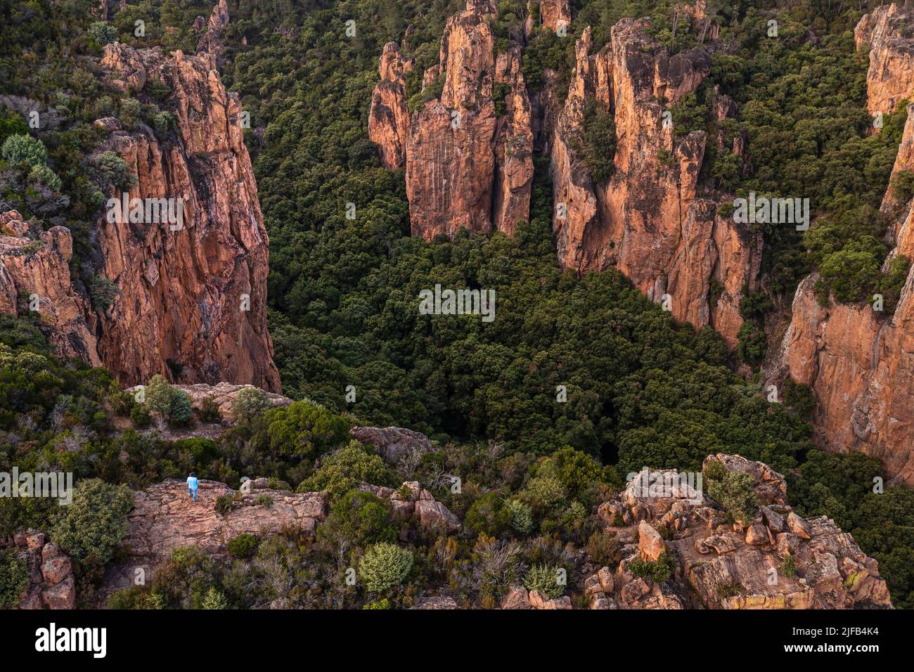 France, Var, entre Bagnols en Foret et Roquebrune sur Argens ...