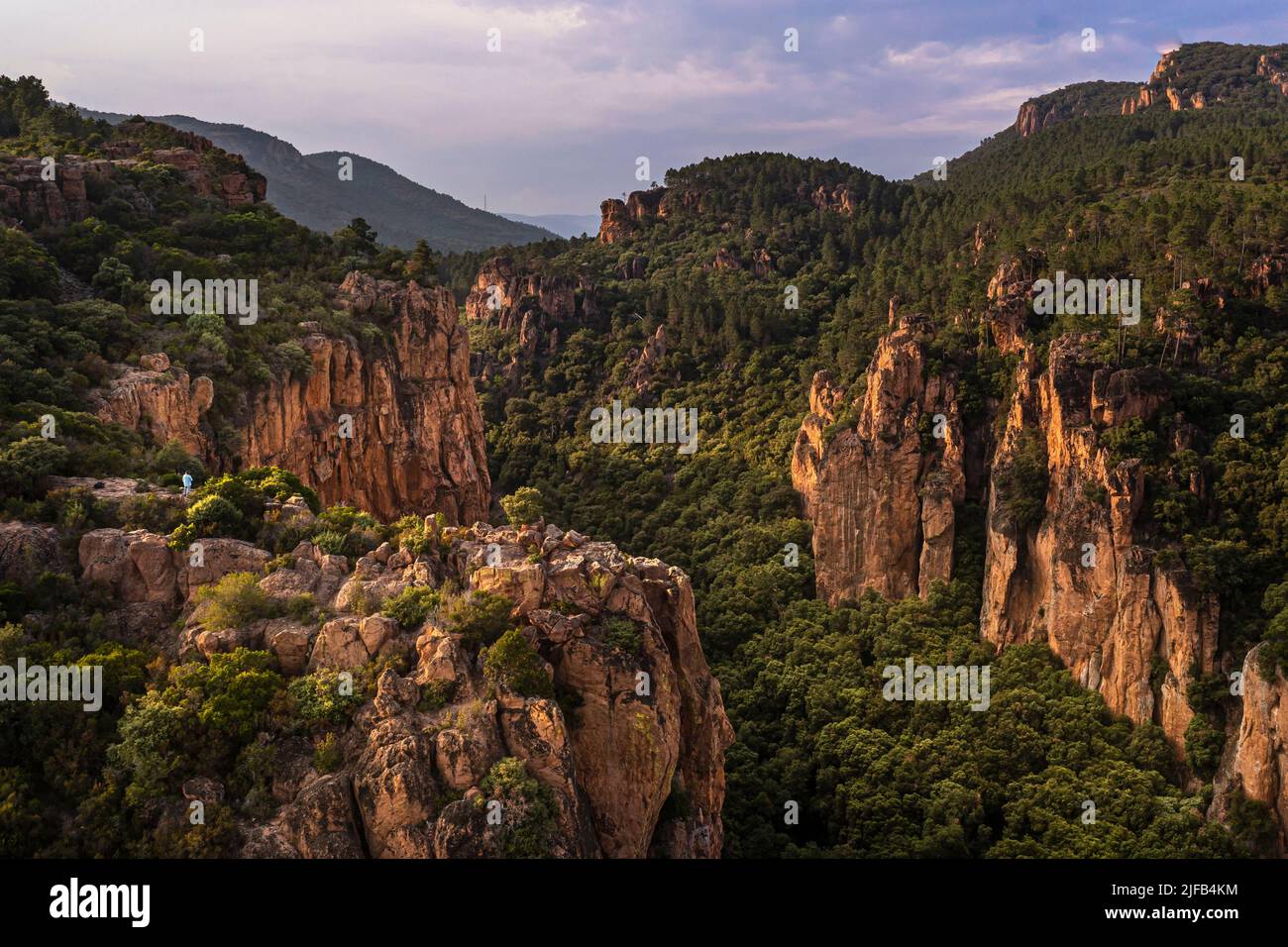 France, Var, entre Bagnols en Foret et Roquebrune sur Argens ...