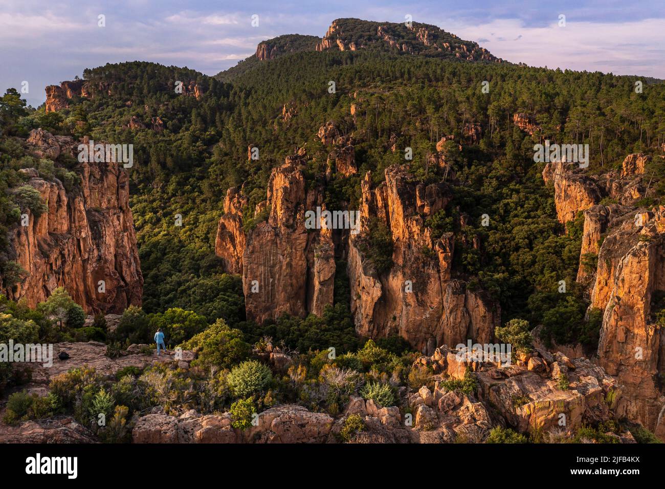 France, Var, entre Bagnols en Foret et Roquebrune sur Argens ...