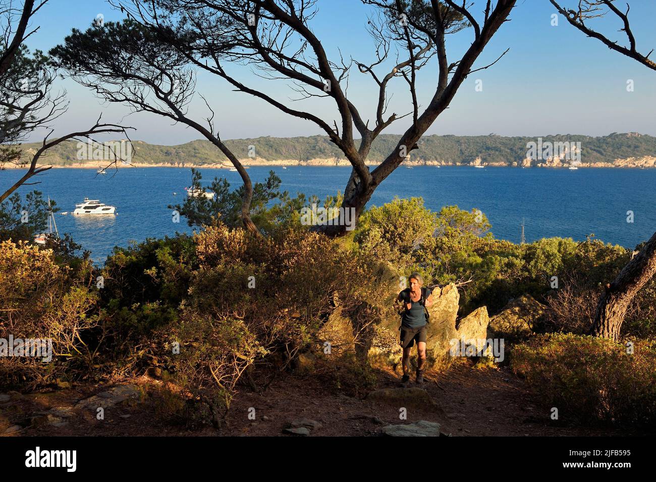 France, Var, Iles d'Hyères, Parc National de Port Cros (Parc National ...