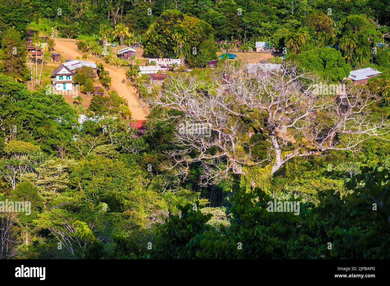 France, Guyane française, Parc amazonien, zone cardiaque, Saül, Vue ...