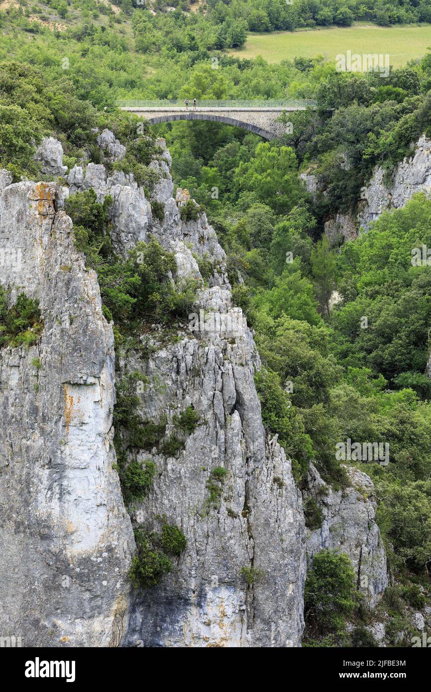 France, Alpes de haute Provence, Réserve naturelle régionale du Luberon ...
