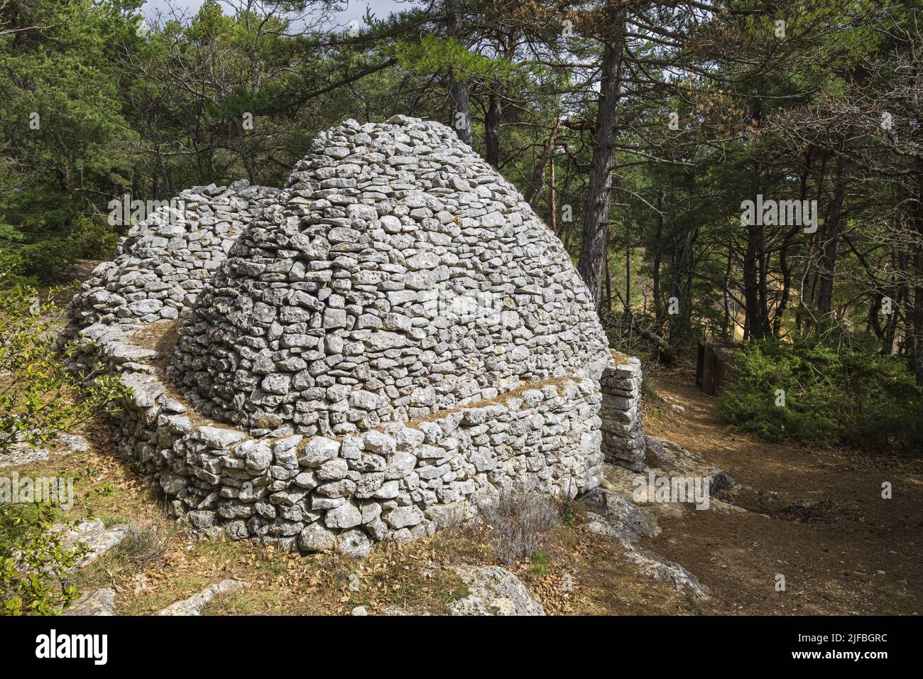 France, Vaucluse, Parc naturel régional du Luberon, environs de Saint ...