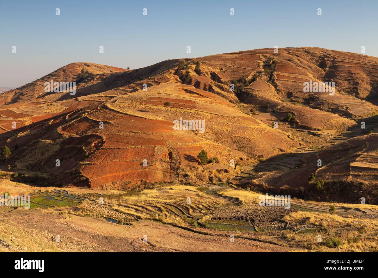 Madagascar, Hautes-terres centrales, ancienne province d'Antananarivo ...