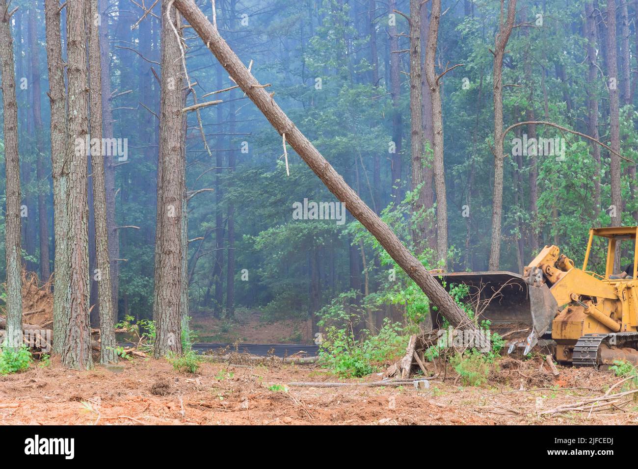 Défrichement du territoire Banque de photographies et d’images à haute ...