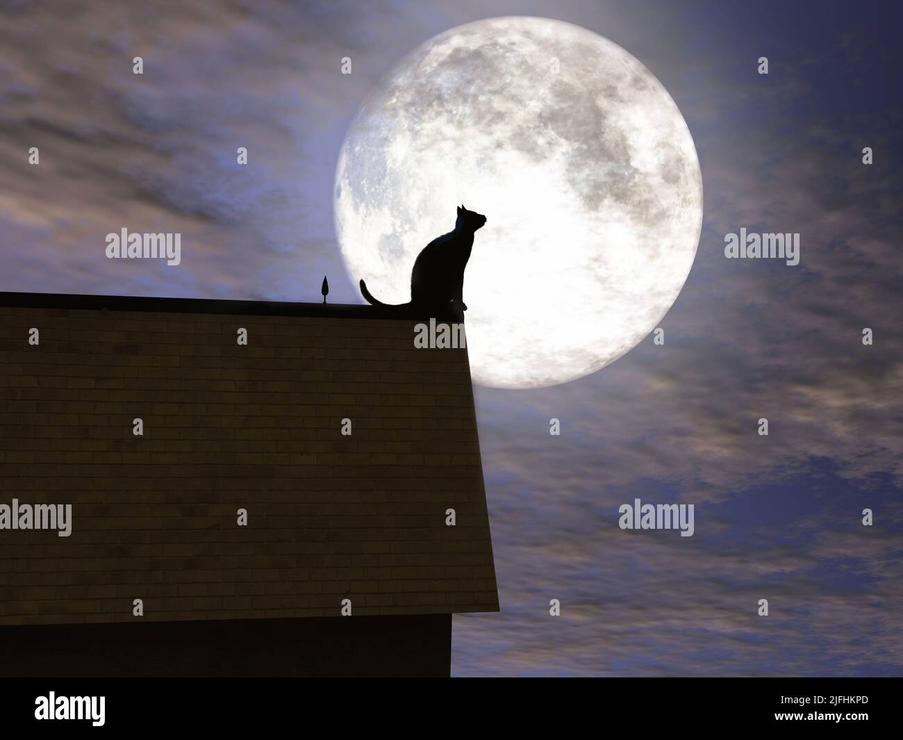 Chat noir sur le toit Banque de photographies et d’images à haute ...