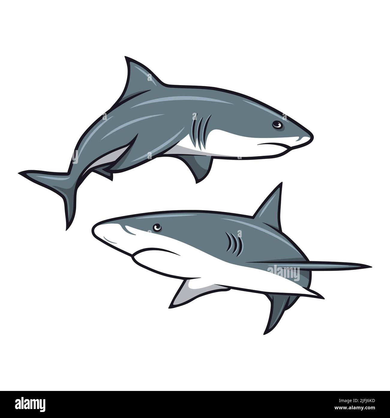 Jeu de requins de dessin vectoriel isolé. Requins blancs colorés ...