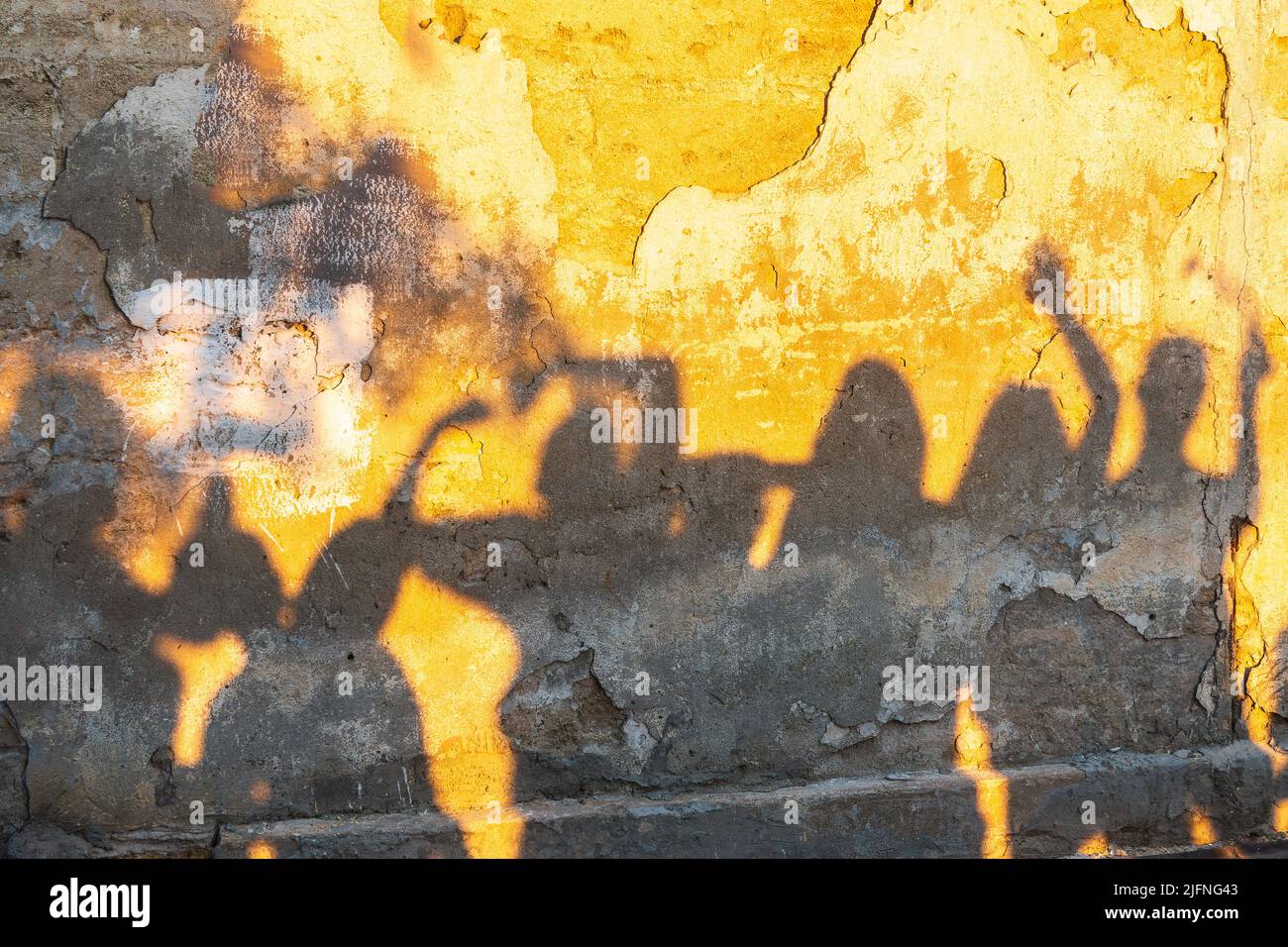 Des ombres de dansant sur un vieux mur au coucher du soleil. Groupe d ...