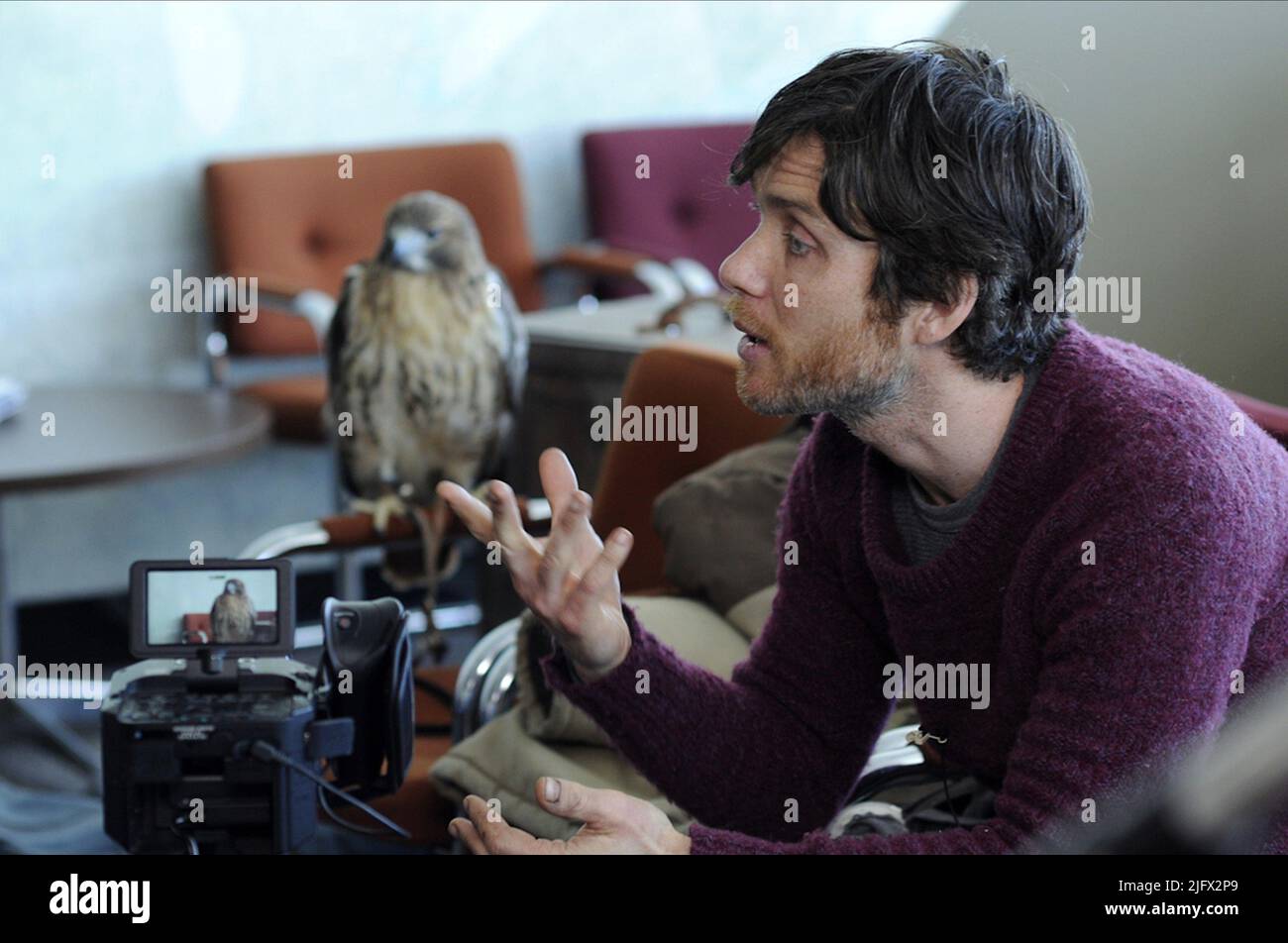 Cillian murphy Banque de photographies et d’images à haute résolution ...