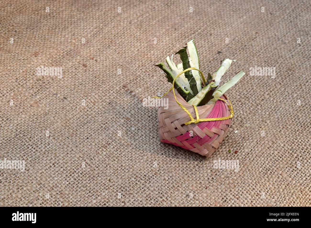 Neem tree Banque de photographies et d’images à haute résolution - Alamy