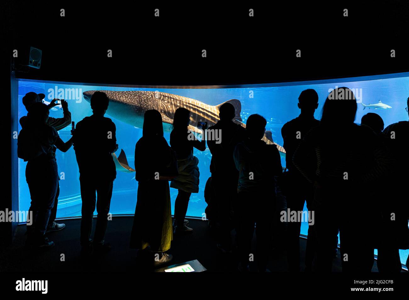 Osaka, Japon - 28 novembre 2018: Les voyageurs à l'intérieur de la ...