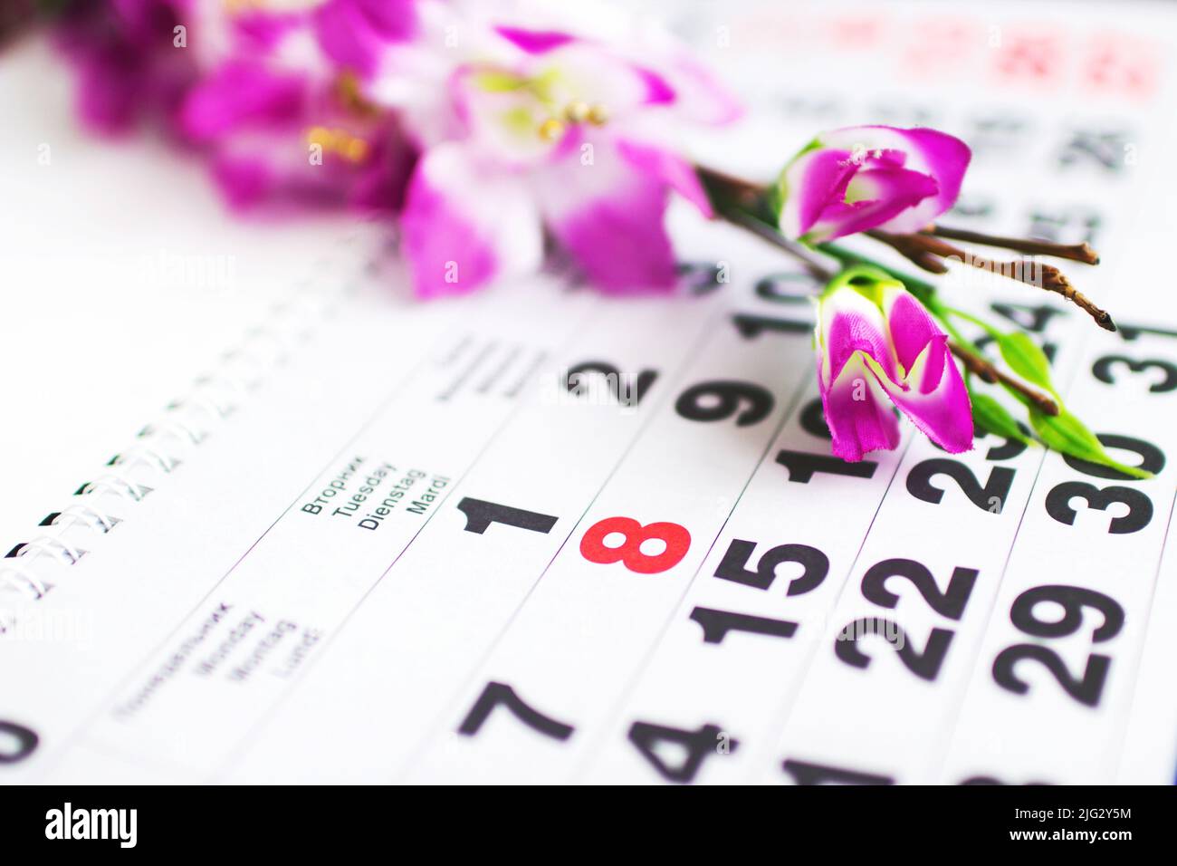 08 mars Banque de photographies et d’images à haute résolution - Alamy