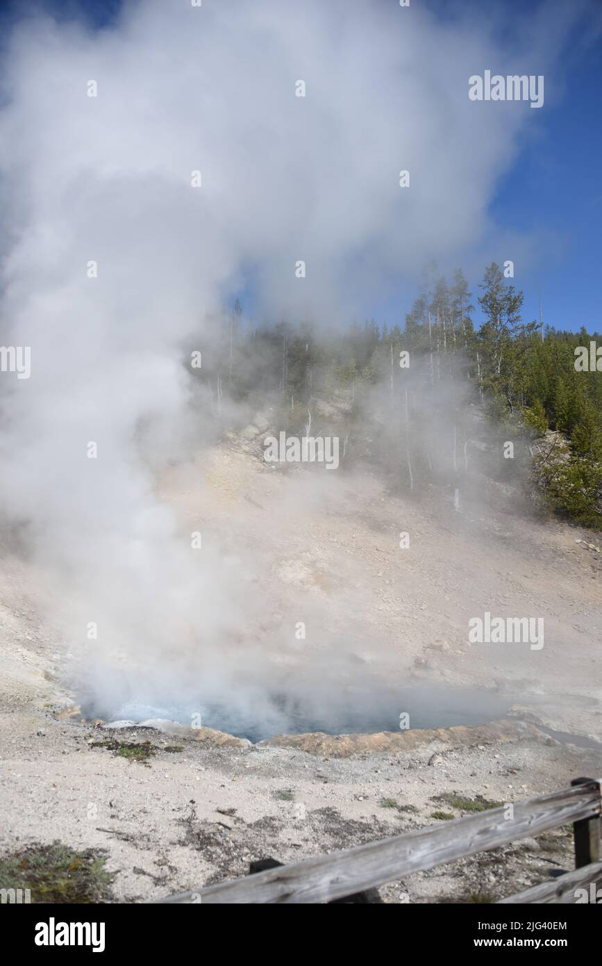 Parc national de Yellowstone, États-Unis. 5/21-24/2022. Beryl Spring ...