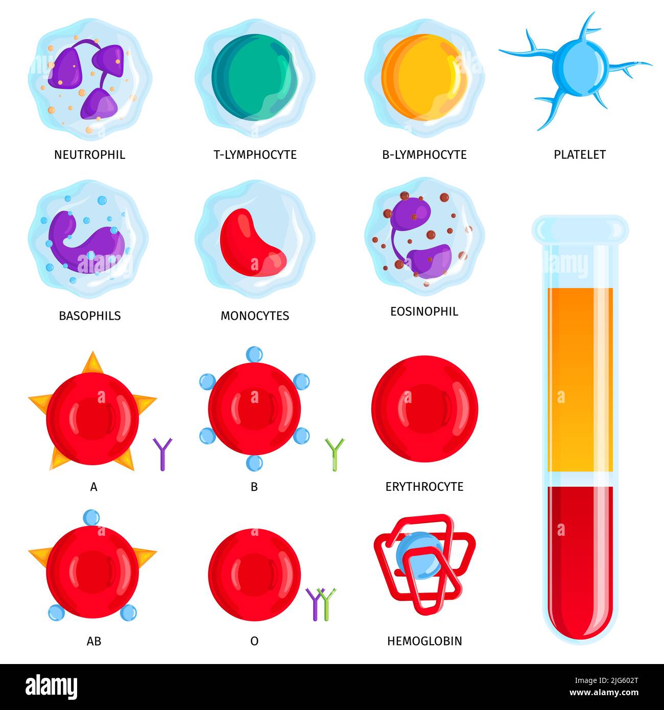 Types de sang groupes de cellules jeu de symboles colorés avec ...