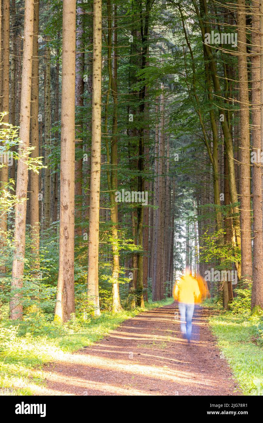 Marcha forestal Banque de photographies et d’images à haute résolution ...