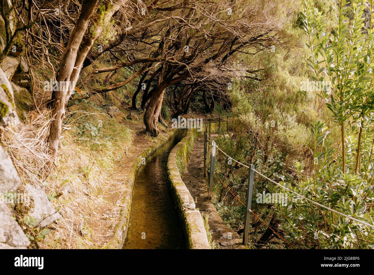Un sentier forestier le long de la voie navigable Levada, dans les ...