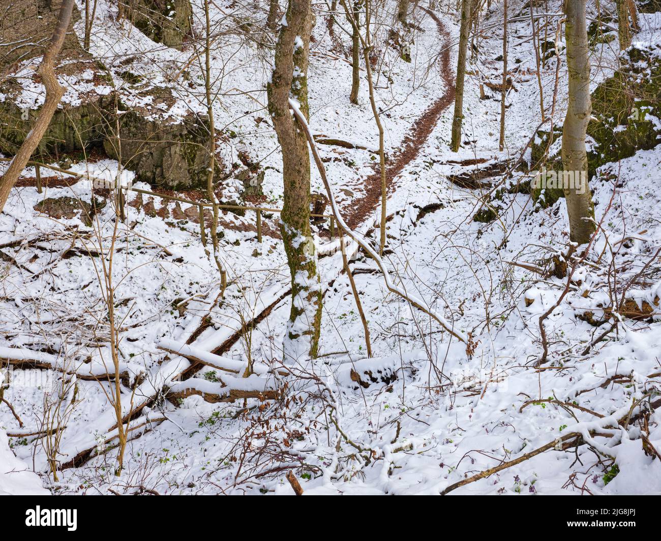 Europe, Allemagne, Hesse, Westerwald, Lahn-Dill-Bergland, Geopark ...