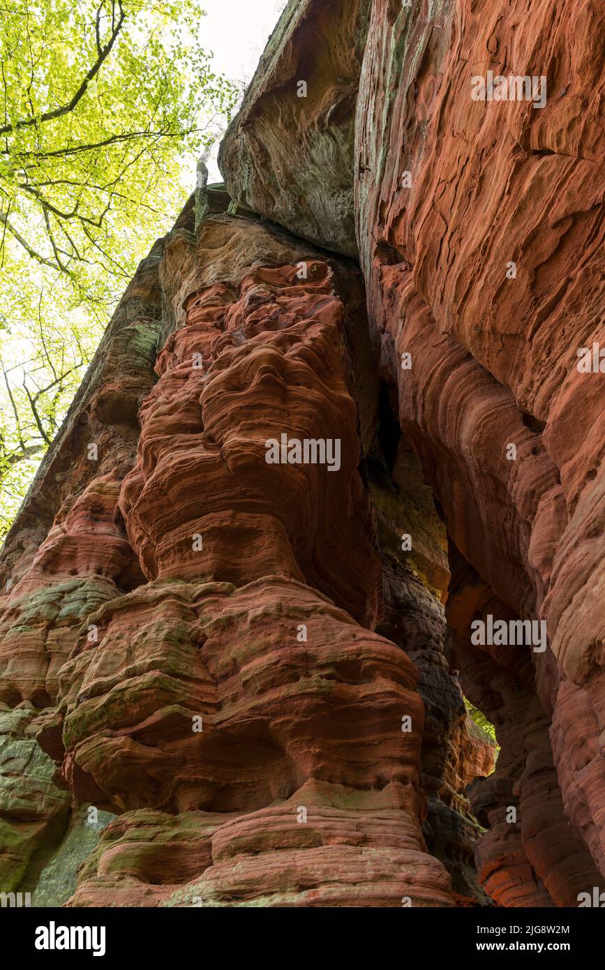 Ancien château de roche, formation de roche de grès rouge près d ...