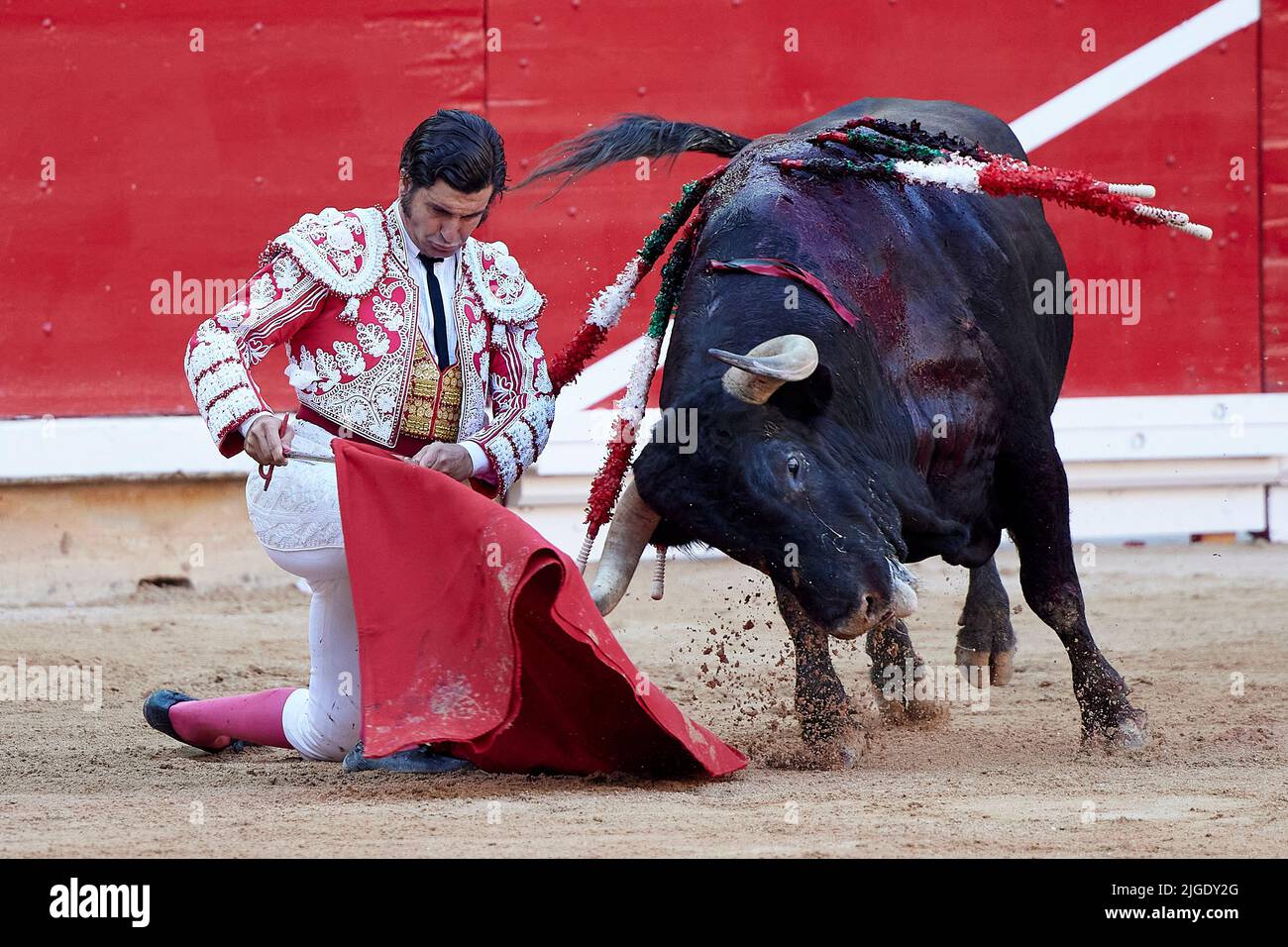 Le taureau espagnol Morante de la Puebla défie un Nunez del Cuvillo qui ...