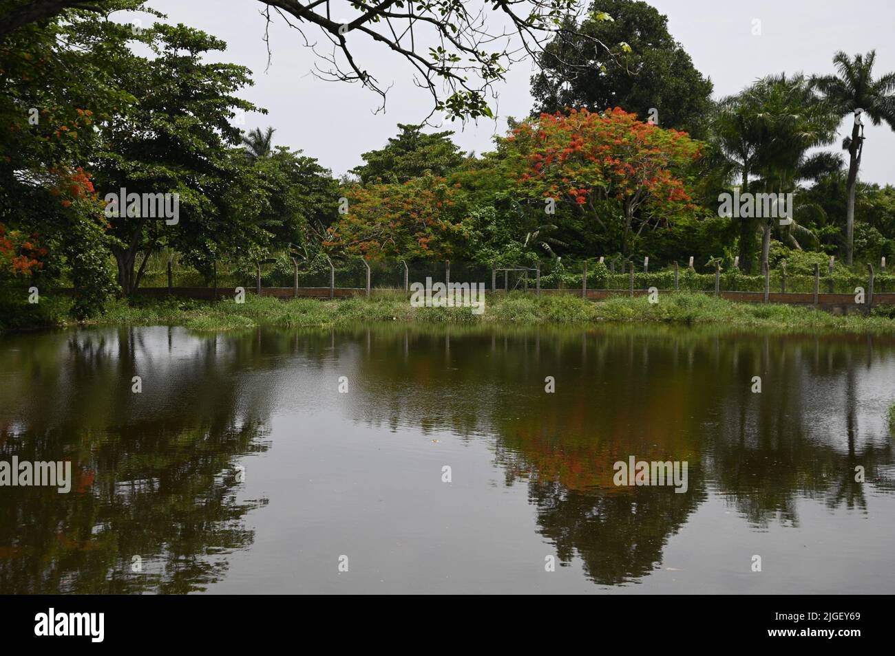Paysage tropical avec vue panoramique sur l'ancien village de Taino un ...