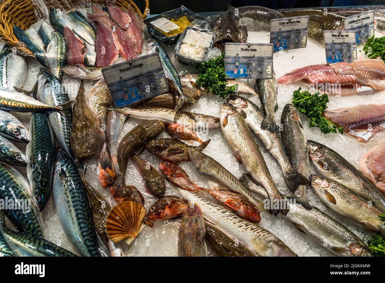 Poissons gras Banque de photographies et d’images à haute résolution ...