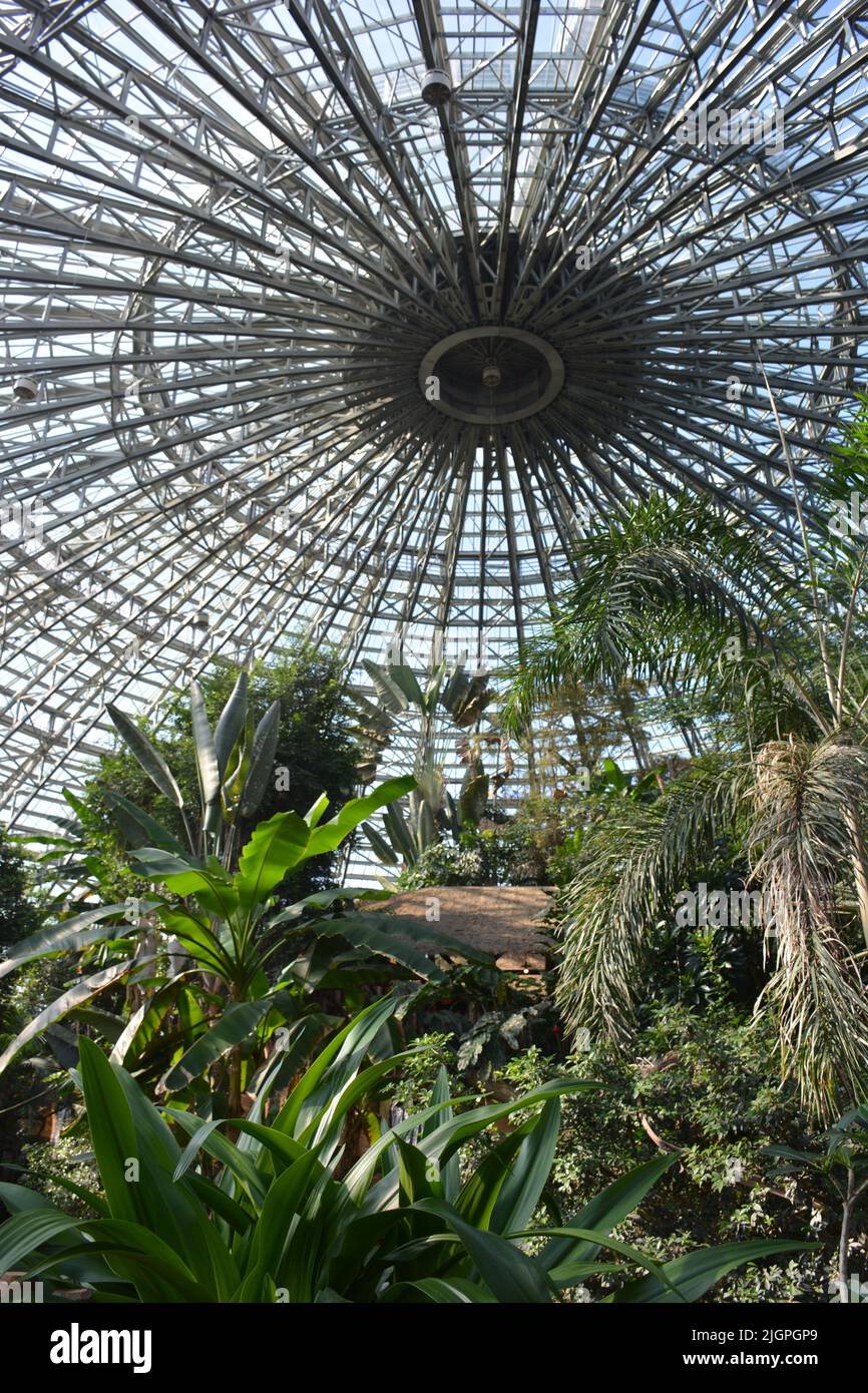 Zoo beauval Banque de photographies et d’images à haute résolution - Alamy