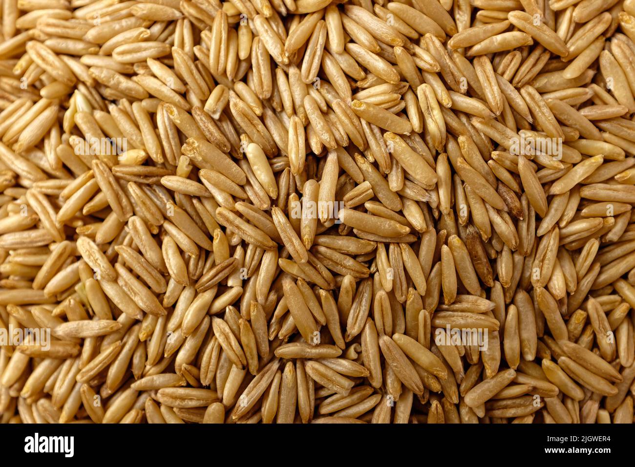Grain d'avoine Banque de photographies et d’images à haute résolution ...