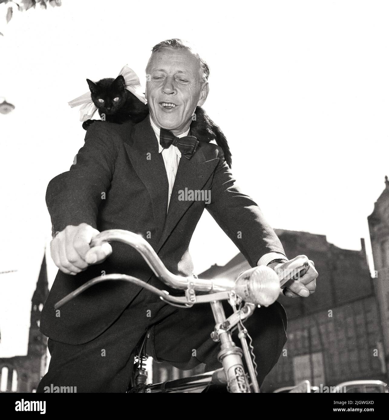 Mohrchen Banque de photographies et d’images à haute résolution - Alamy