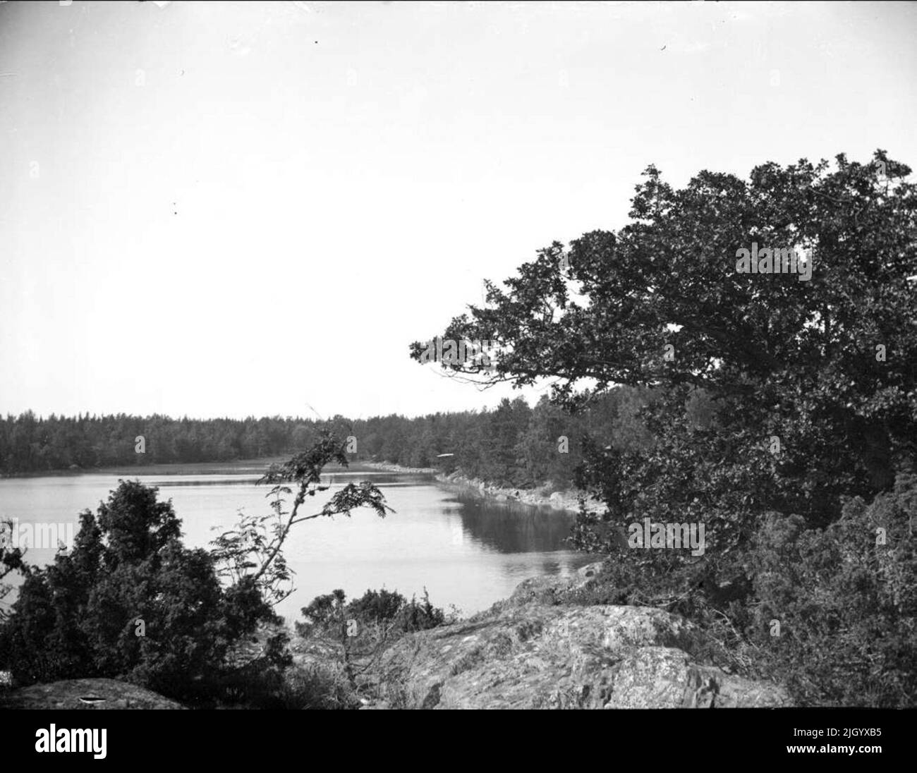 Cours d'eau dans la paroisse de Börstil, Uppland juillet 1915. Cours d ...