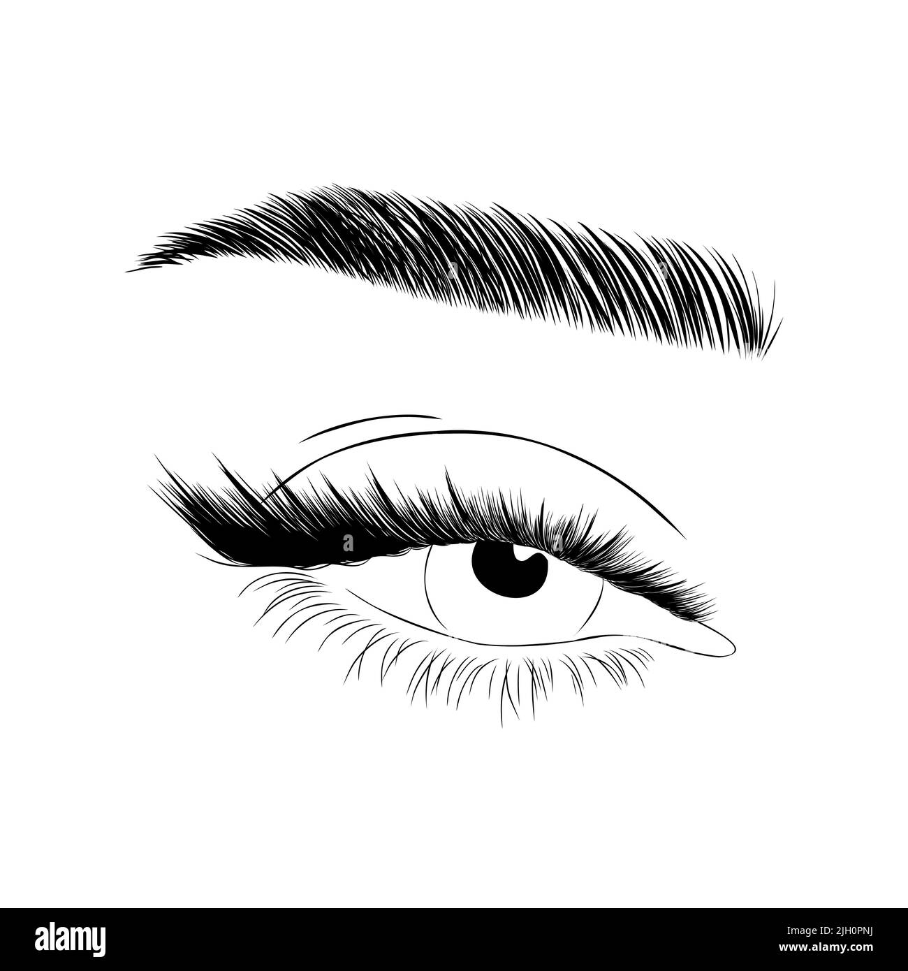 Cils Réalistes Sur Fond Blanc Les Yeux Ouverts Et Les Sourcils Des