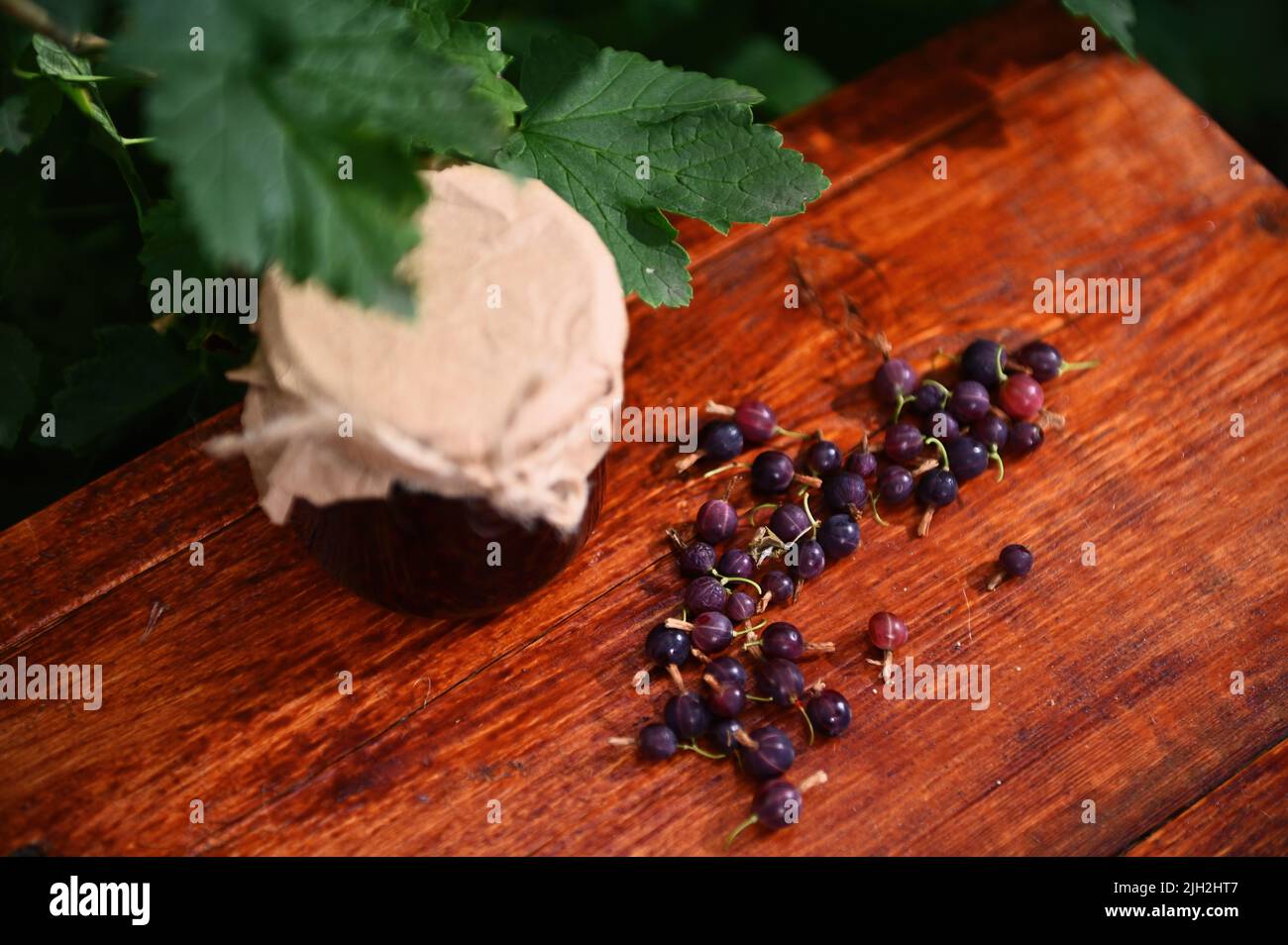 Pot de confiture de groseille Banque de photographies et d’images à ...