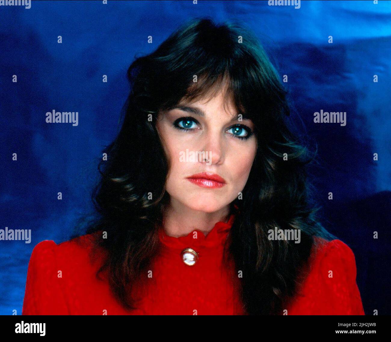 Dynasty dynasty pamela sue martin Banque de photographies et d’images à ...