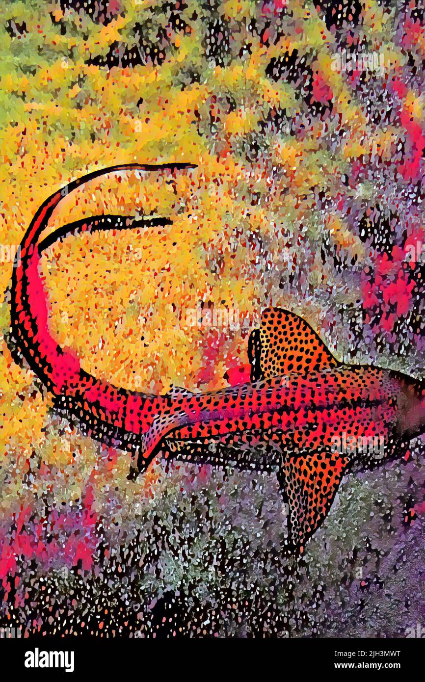 Motif de requin Banque de photographies et d’images à haute résolution ...