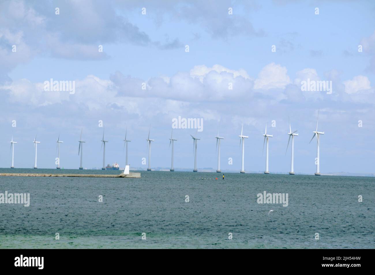 Kastrup/Copenhagen/Denmark/15 juillet 2022/ la vie au parc Amager ...