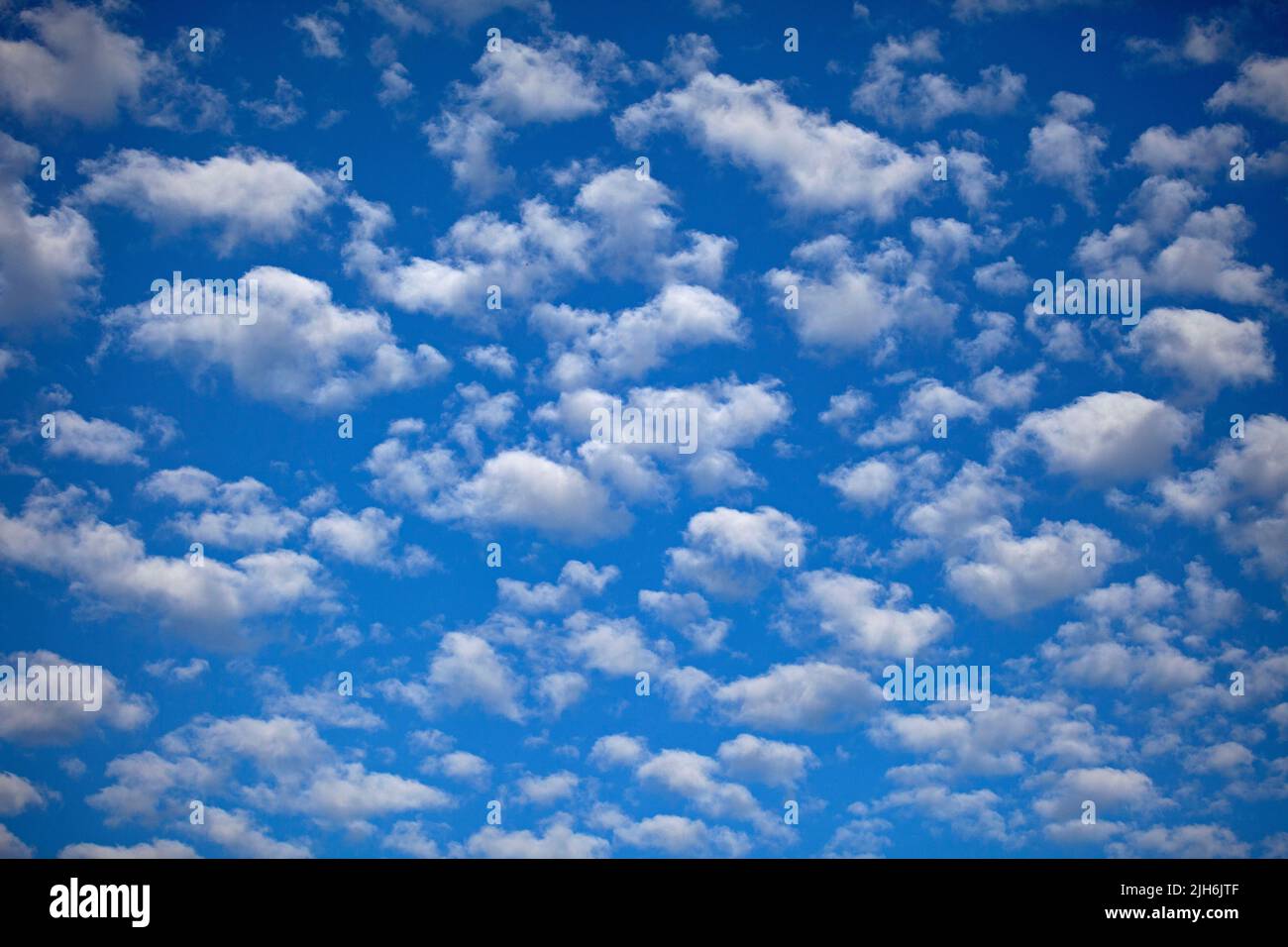 Cumulus humilis Banque de photographies et d’images à haute résolution ...