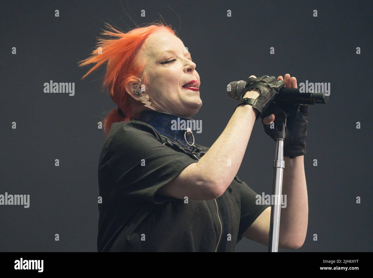 Lead singer of garbage Banque de photographies et d’images à haute ...