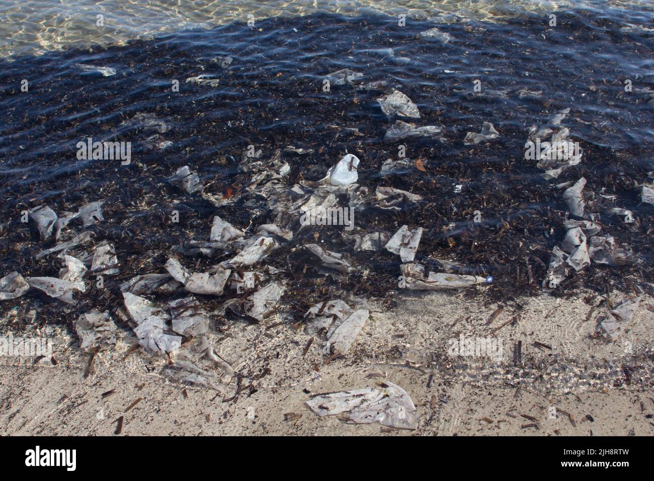 Pollution de la mer Banque de photographies et d’images à haute ...