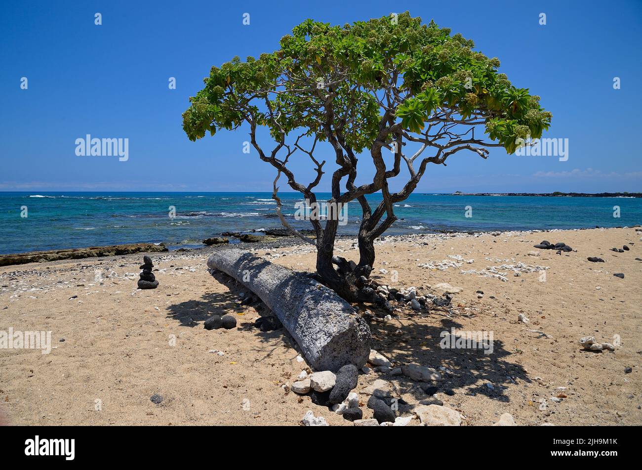 Maahai Ula Beach - une célèbre plage de lave au nord de Kona Kailua ...
