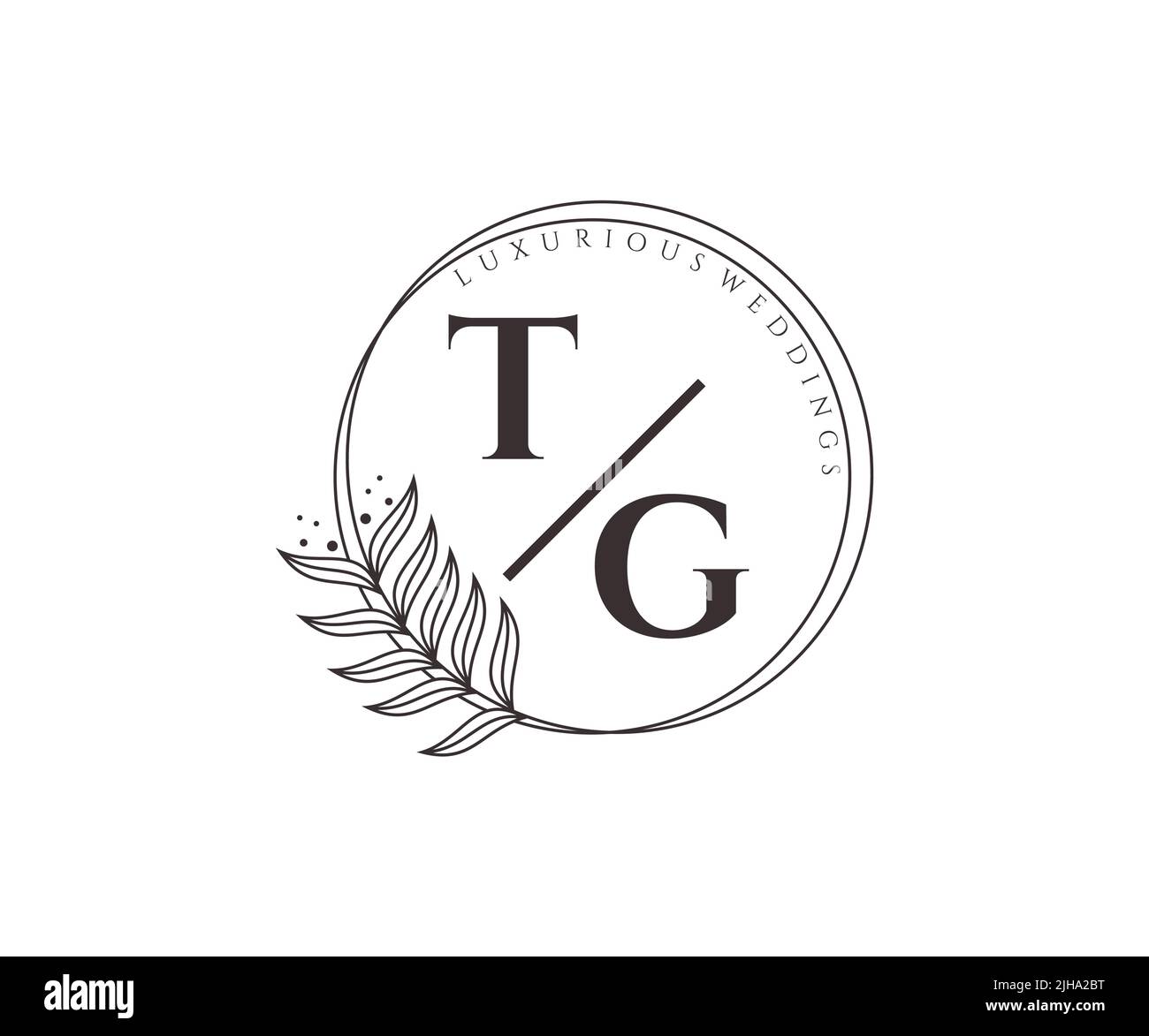 Logo des initiales tg Banque de photographies et d’images à haute ...