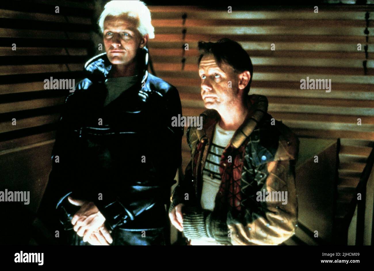 Lame de lame 1982 william sanderson Banque de photographies et d’images ...