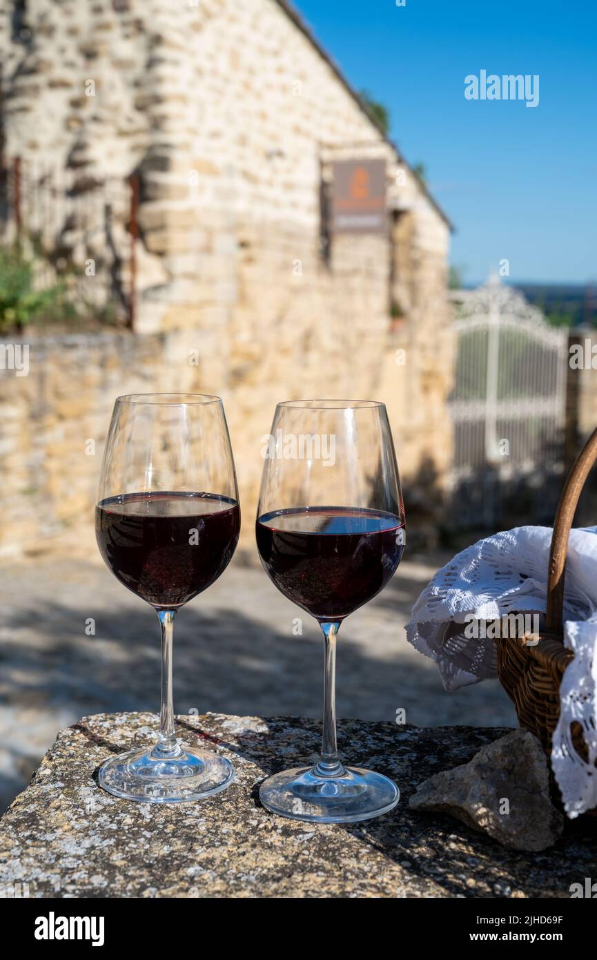 Visite des vins avec dégustation de vin sec rouge et ruines du château ...