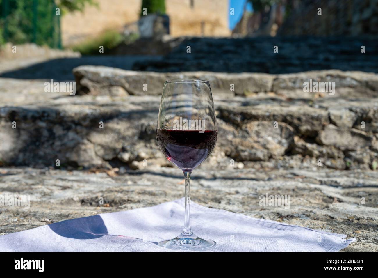 Visite des vins avec dégustation de vin sec rouge et ruines du château ...