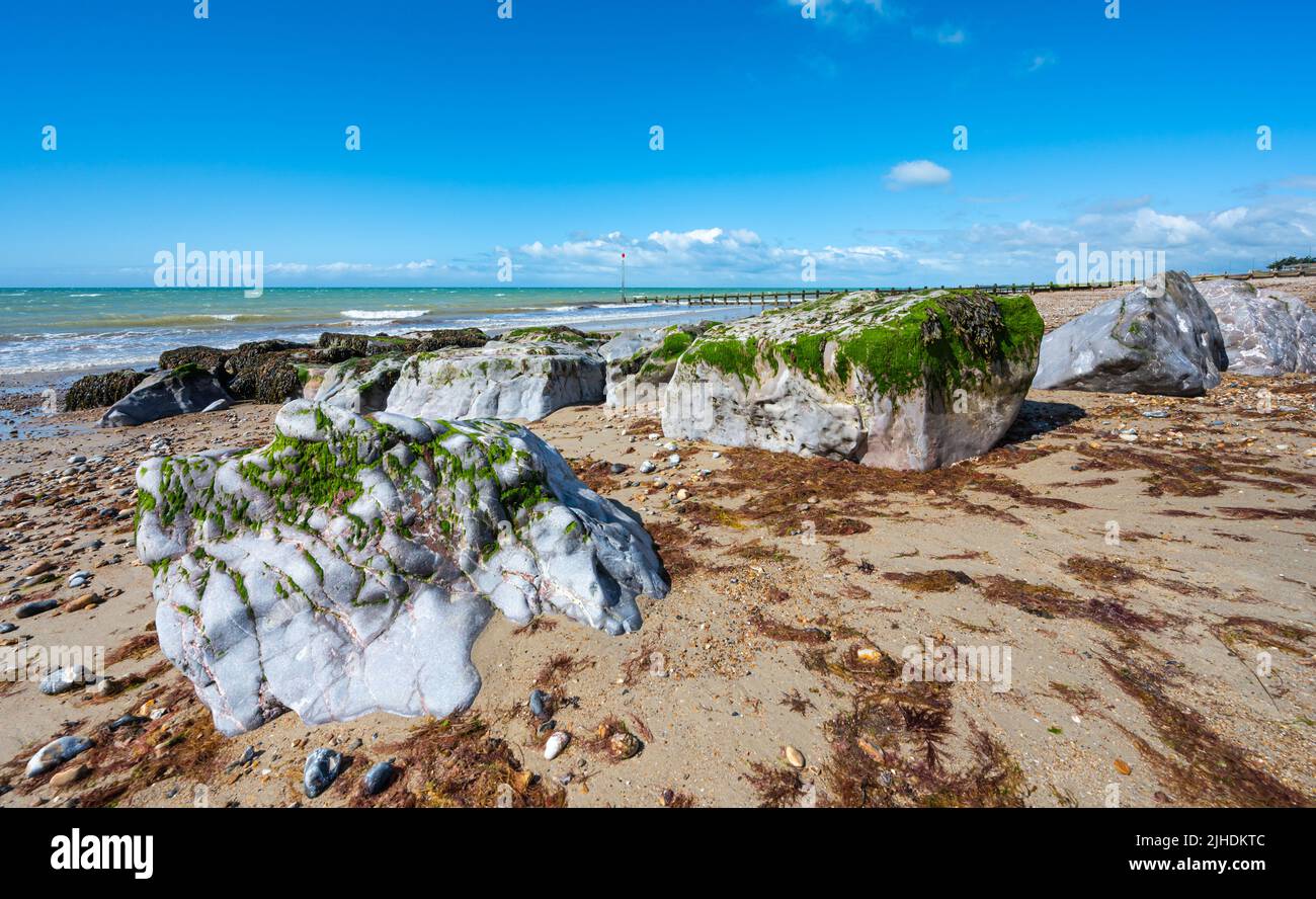 Grands rochers sur la plage de sable, couverts d'algues vertes à marée ...