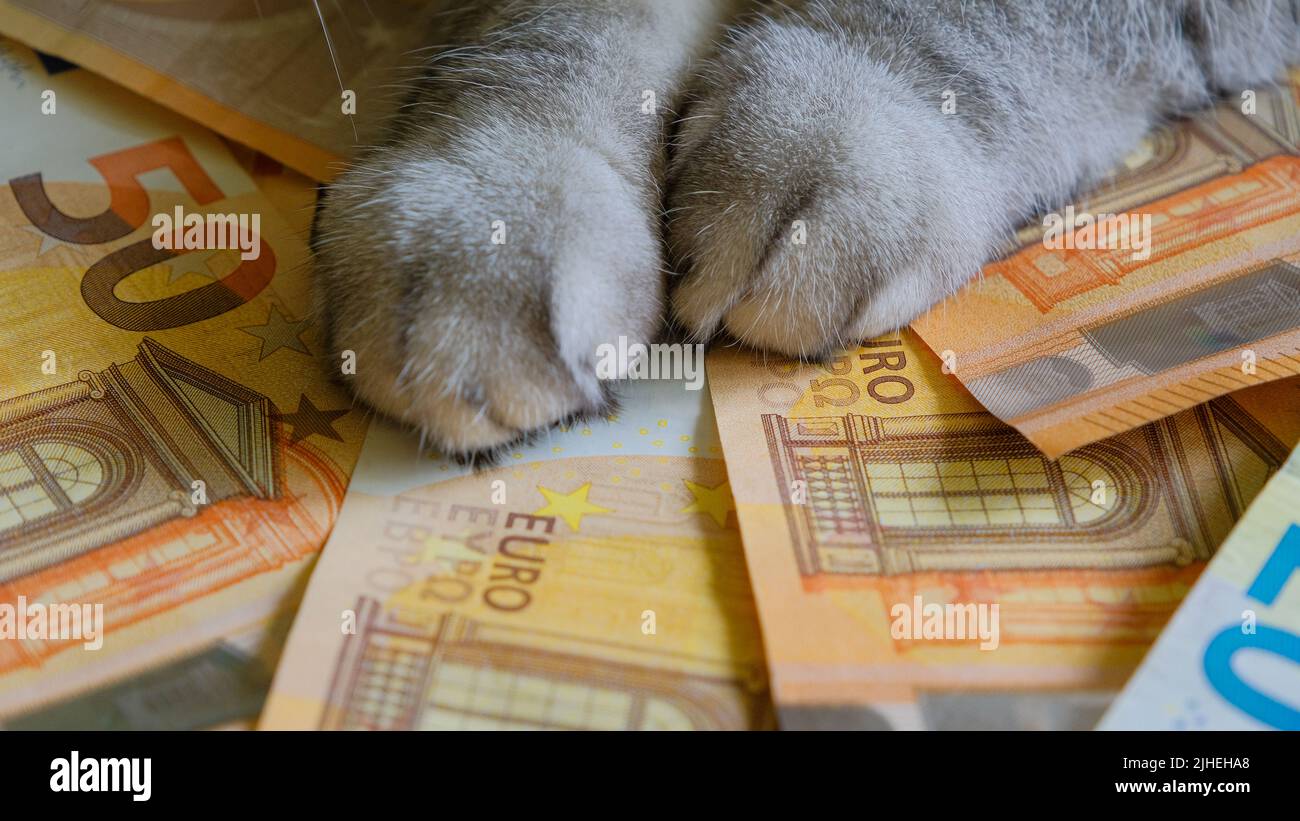 Billet euro humour Banque de photographies et d’images à haute ...