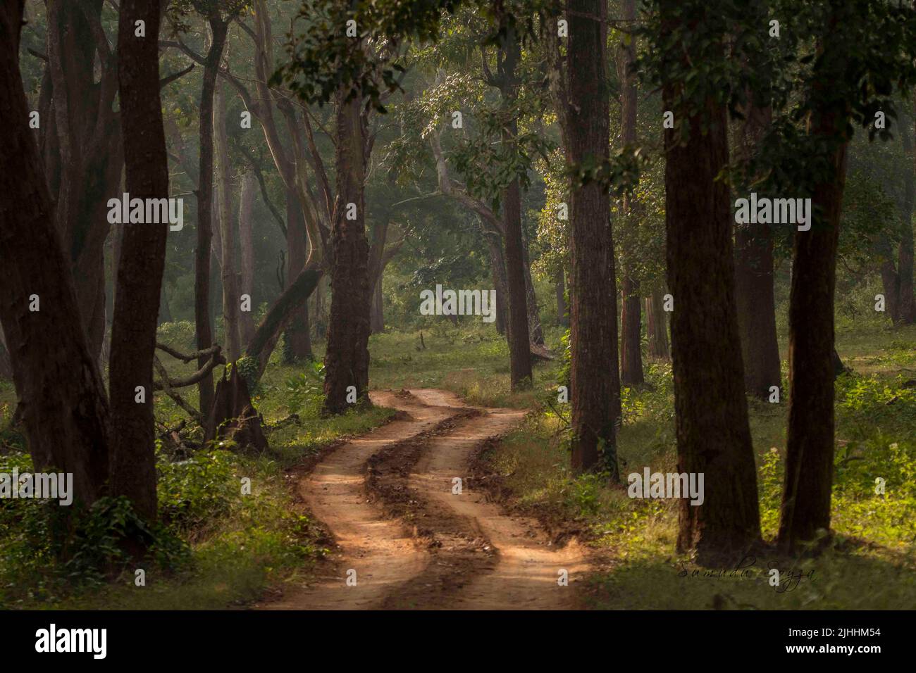 Beaux paysages en inde Banque de photographies et d’images à haute ...