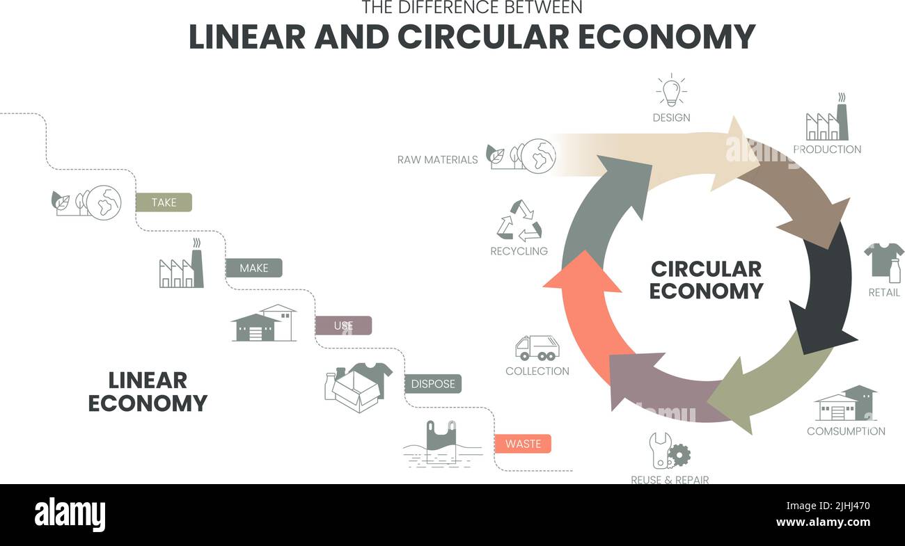 Le schéma vectoriel de l'infographie de la différence entre l'économie ...